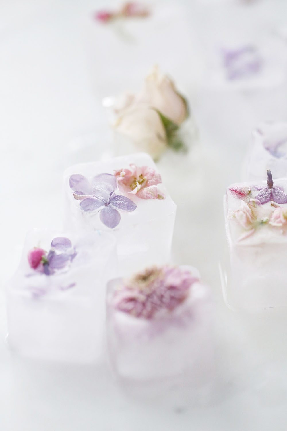 How to Make Floral Ice Cubes - Jillian Harris