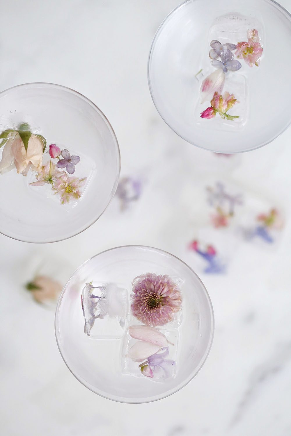 How to Make Floral Ice Cubes - Jillian Harris