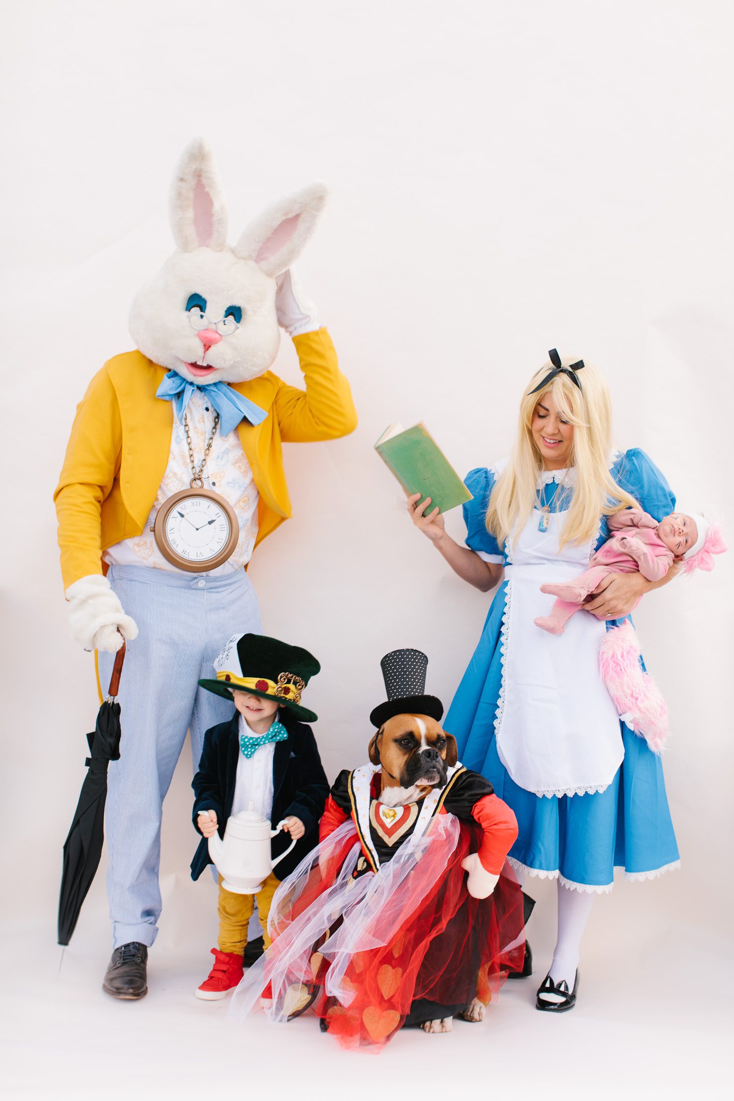 Alice in Wonderland for Annie's First Halloween!